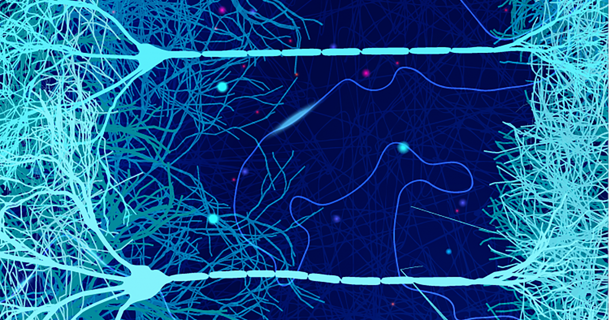 Neural Mechanisms of Memory and Cognition | Picower Institute Neural Mechanisms of Memory and Cognition | Picower Institute